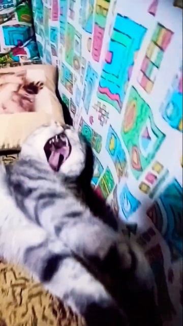 1 сентября 2024 г.