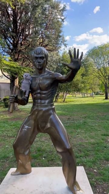 Памятник Брюсу Ли в парке Зреньевац в Мостаре