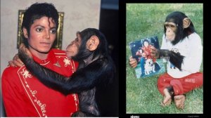 ¿Por que Freddie Mercury y Michael Jackson no grabaron juntos?