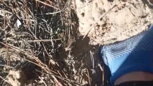 Спустя 3 дня поехал за грибами