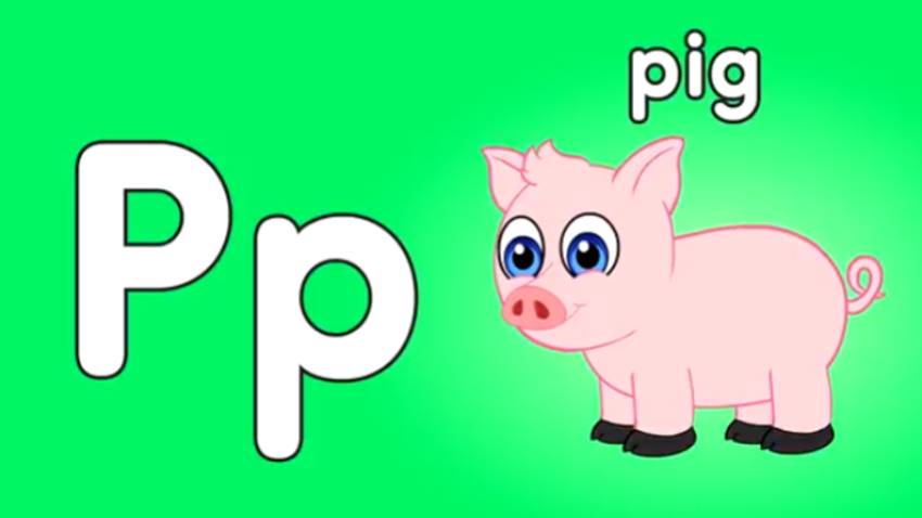 abc song (16) a-p