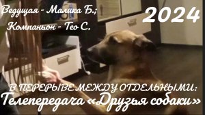 В ПЕРЕРЫВЕ МЕЖДУ ОТДЕЛЬНЫМИ: Телепередача "Друзья собаки" 2024 год