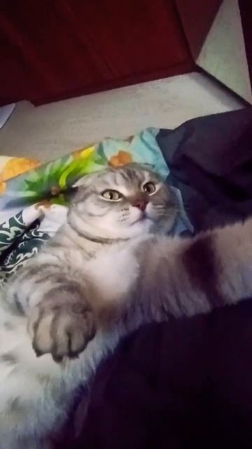 11 октября 2024 г.