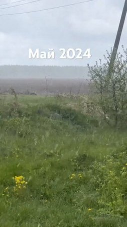 Май 2024, чудесная погода! #погода #похолодание #лето