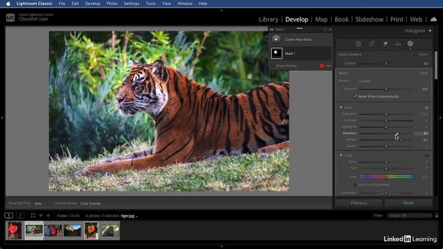 04-06 - Lightroom manual masks Brush, linear gradient, and radial gradient
