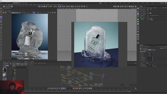 OCT_Ice_Sculpture