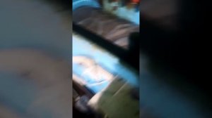Обзор мальковой осетровой УЗВ