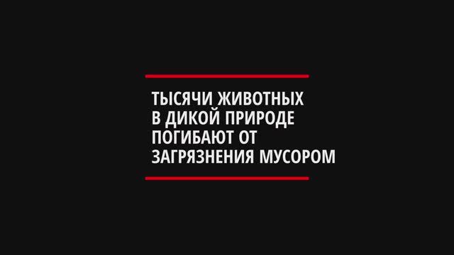 22 04 2024 Встреча в лесу с лисенком
