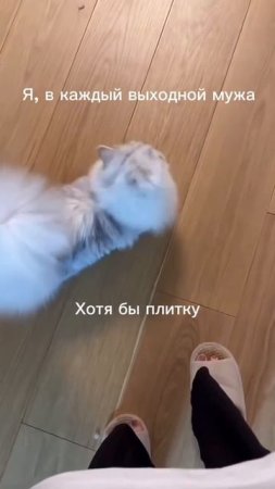 Не каждый муж дает такие гарантии 😉