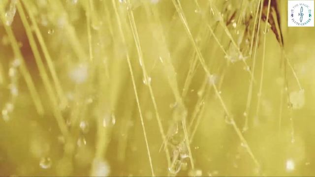 Илья Дворецкий (флейта) - Габриэль Форе - Фантазия (1 часть)