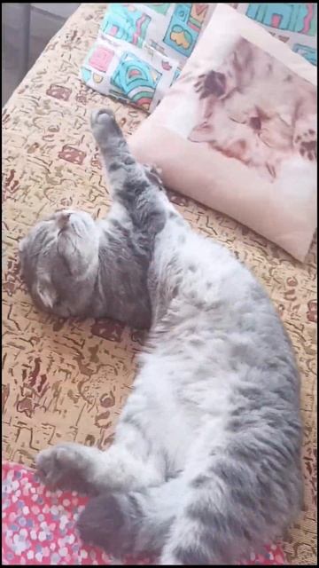 16 сентября 2024 г.