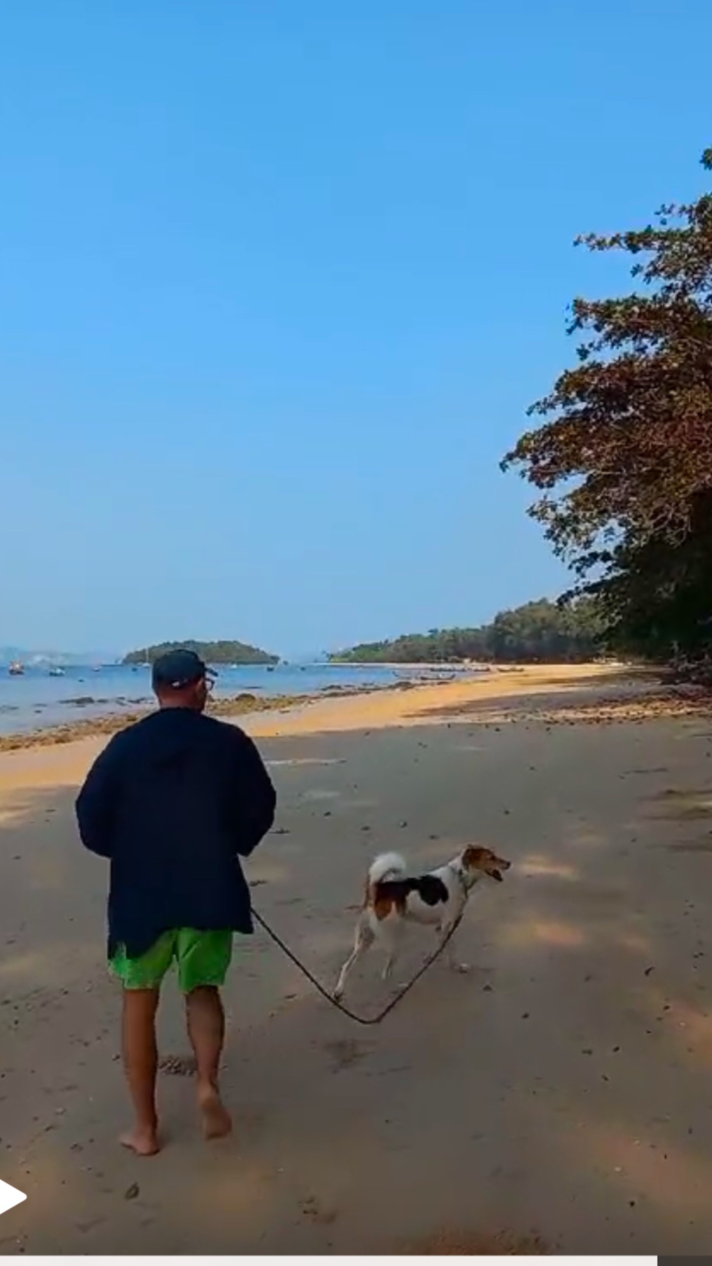 Краби, с добрым утром!