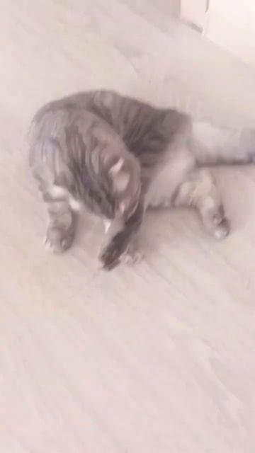 11 сентября 2024 г.