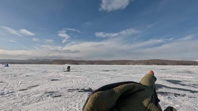 Рыбалка на Аргазях. Не клюёт, 11 февраля 2025.