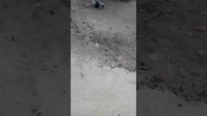 Демино