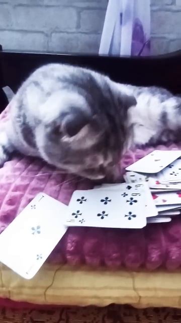 31 января 2025 г.