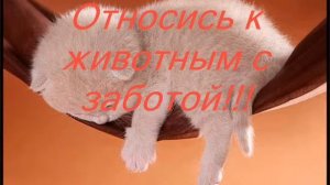 Береги Природу
