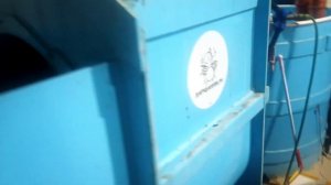 Обзор УЗВ с форелью