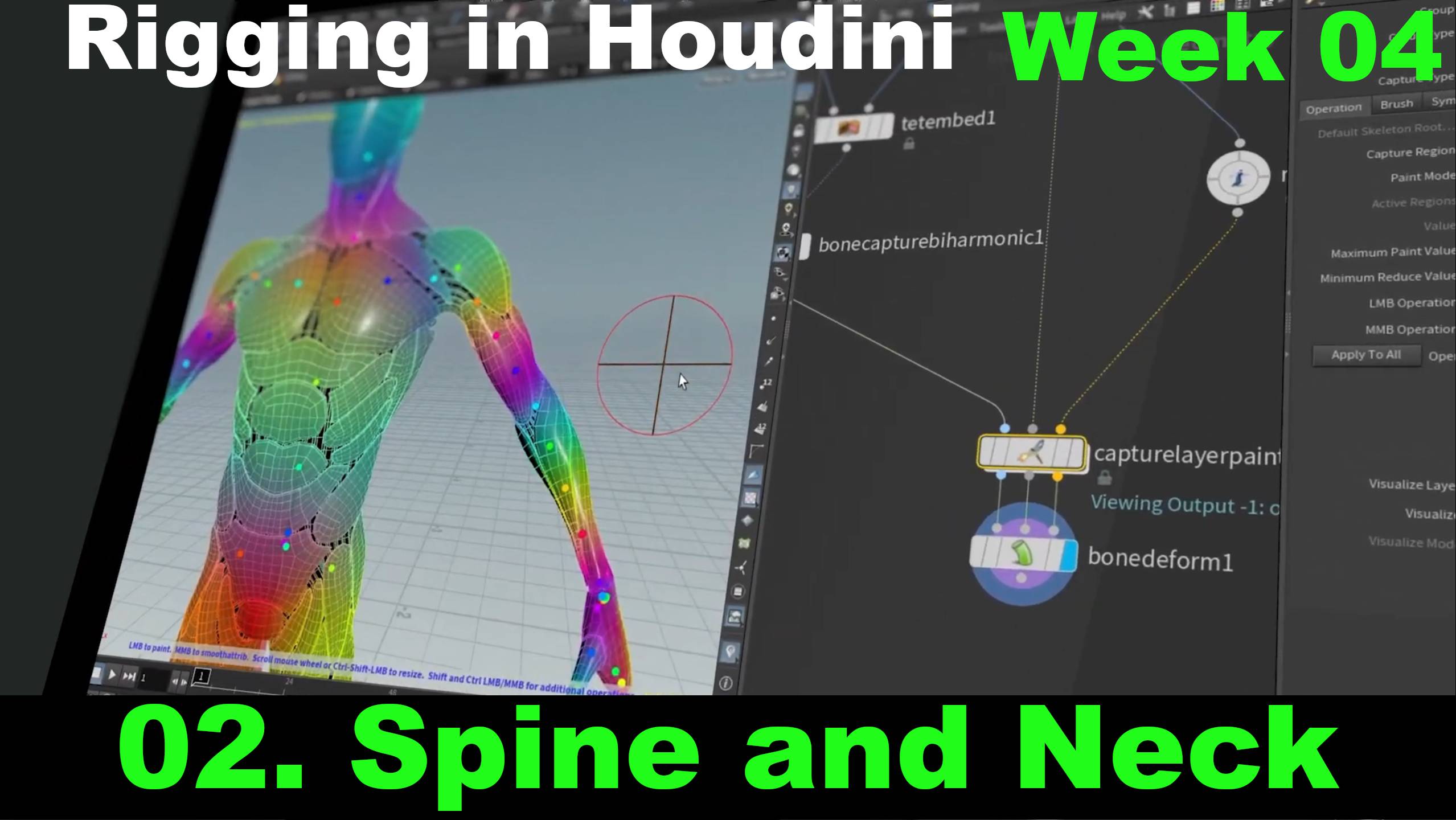 02. Spine and Neck