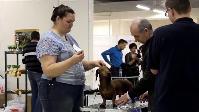 Azarnniy Ohotnik Iz Strani Grez