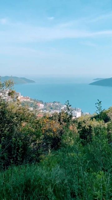 24 апреля 2023 г.