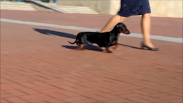 Ekstra Klass Iz Strani Grez