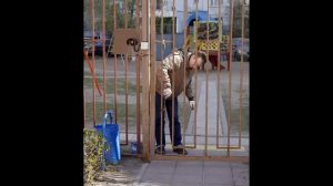 СУББОТНИК