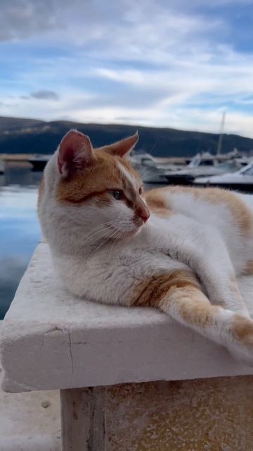 17 апреля 2023 г.