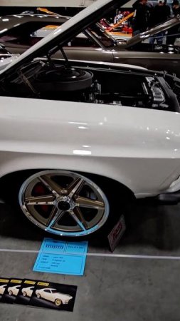 96 Mustang Pro Tour GNRS