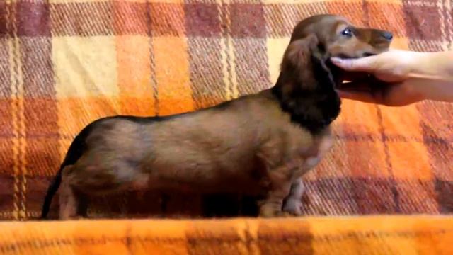 22.02.11 Горячий Парень Из Страны Грез.avi