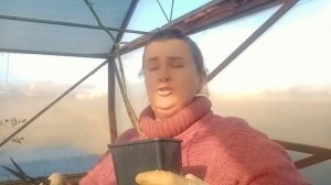 Что сделать с саженцем ежевики после получения весенней посылки