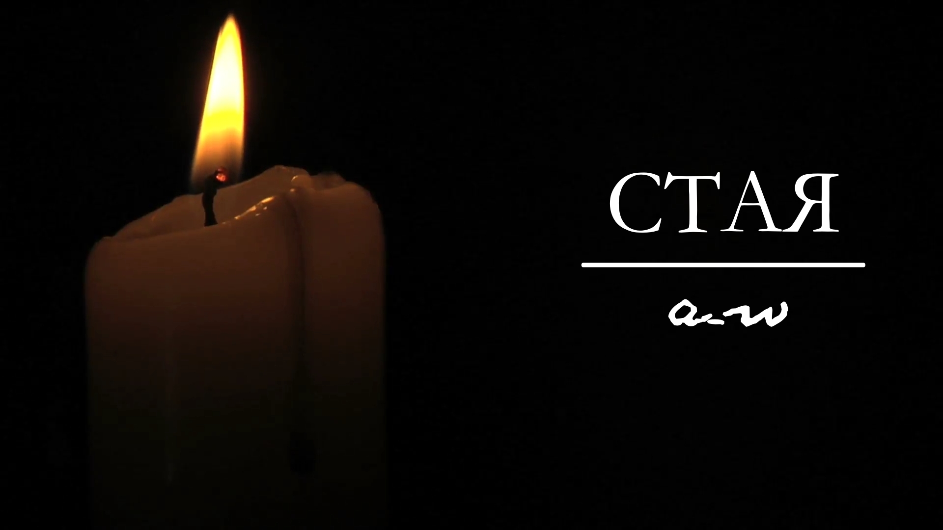 аНДРЕЙ жАБИН - Стая