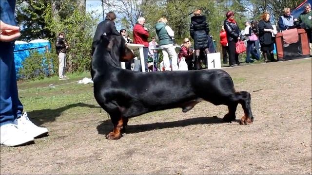 Ekstra Klass Iz Strani Grez (9 months)