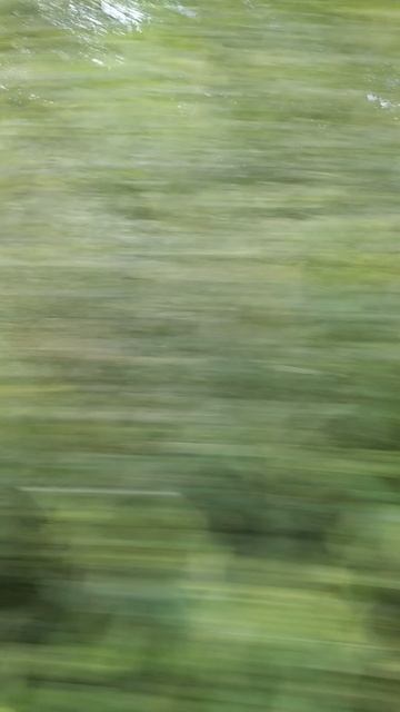 узкоколейка.нас преследуют.