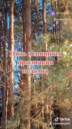 Пять основных признаков Ведьмы.