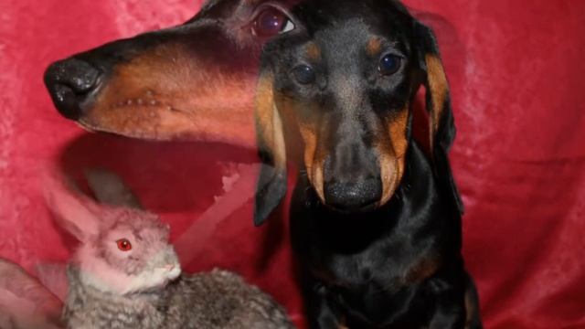 Русский Стиль из Страны Грез