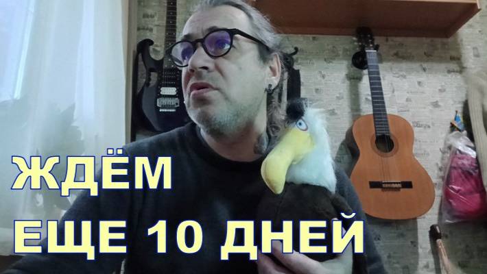 ЖДЁМ ЕЩЕ 10 ДНЕЙ 🤨🤨