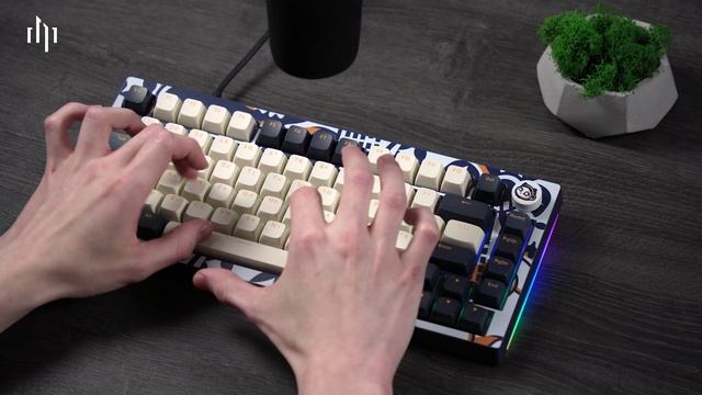Тайпинг клавиатуры Дарк Проджект x Akko KD5075 [Akko Fairy Switch]