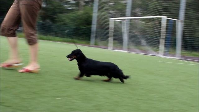 Благая Весть из Страны Грез