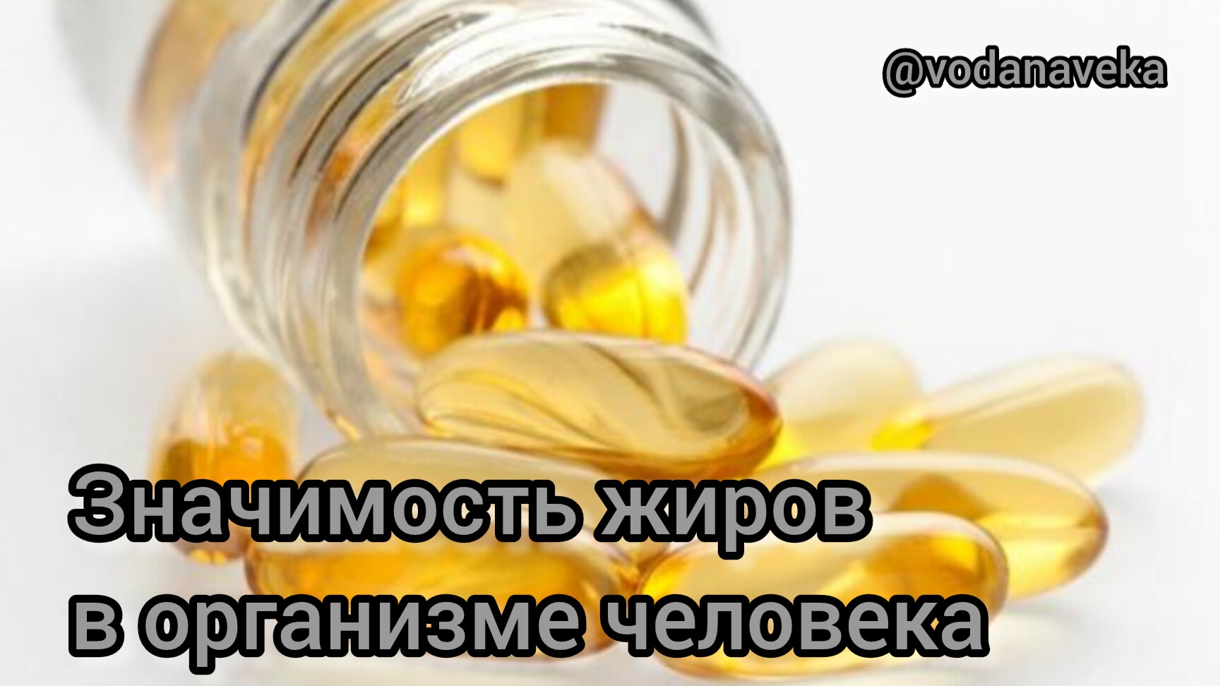 Значимость жиров. Подхомутникова О.В.
