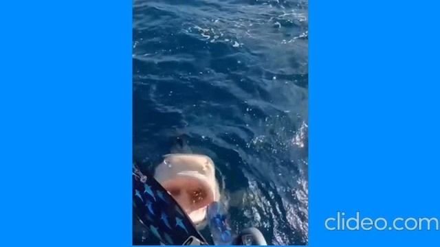 Есть только МИГ - между прошлым и будущим