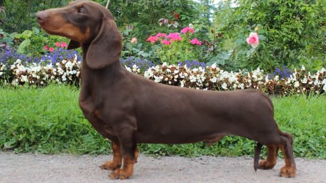 Прогулка в Пушкине 17 августа 2012