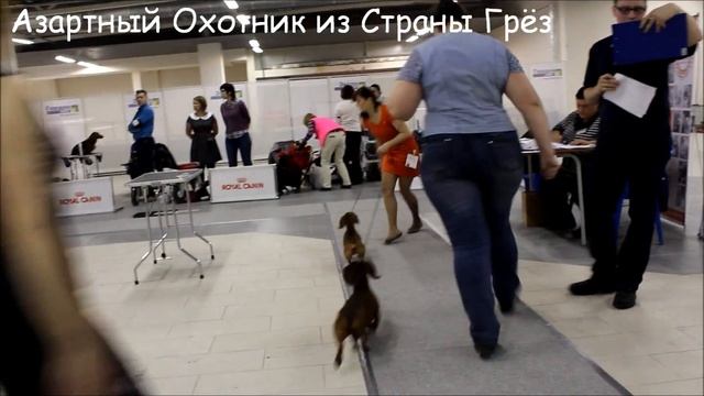 Азартный Охотник Из Страны Грез 09.02.2013