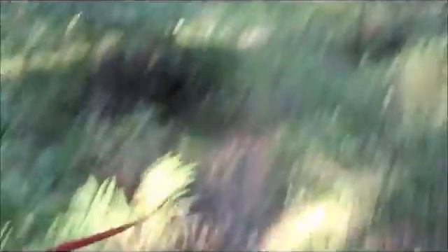 Уникальная Награда из Страны Грез сдает кровяной след