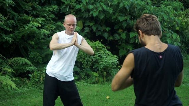 Урок 3. Рука вверх