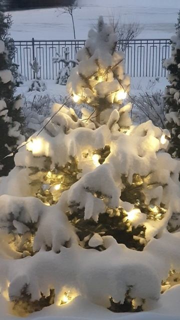 Доброе Утро Отличной Недели