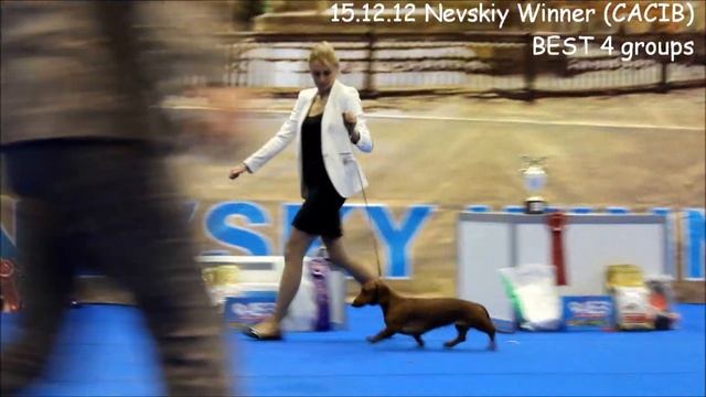 15.12.12 Nevskiy Vinner - BEST 4 groups
