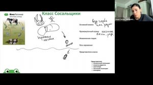 10.12 7-8 класс плоские черви