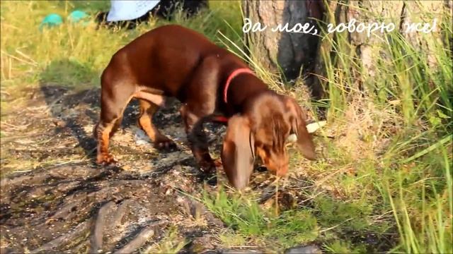 вечерний отдых 29 июля 2012