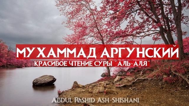 Сура  Аль-Аля  - Красивое чтение Корана Мухаммадом Аргунским!